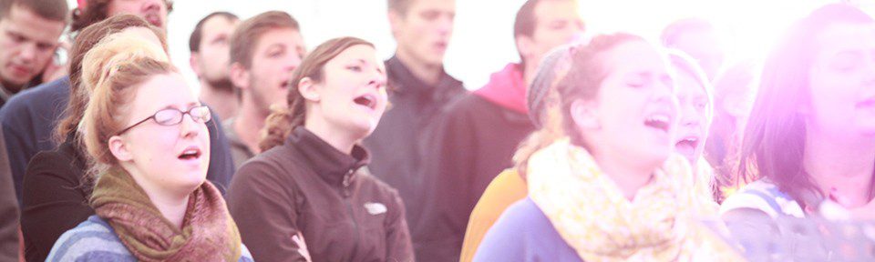 20 Years of Eternal Fruit - Josiah Venture